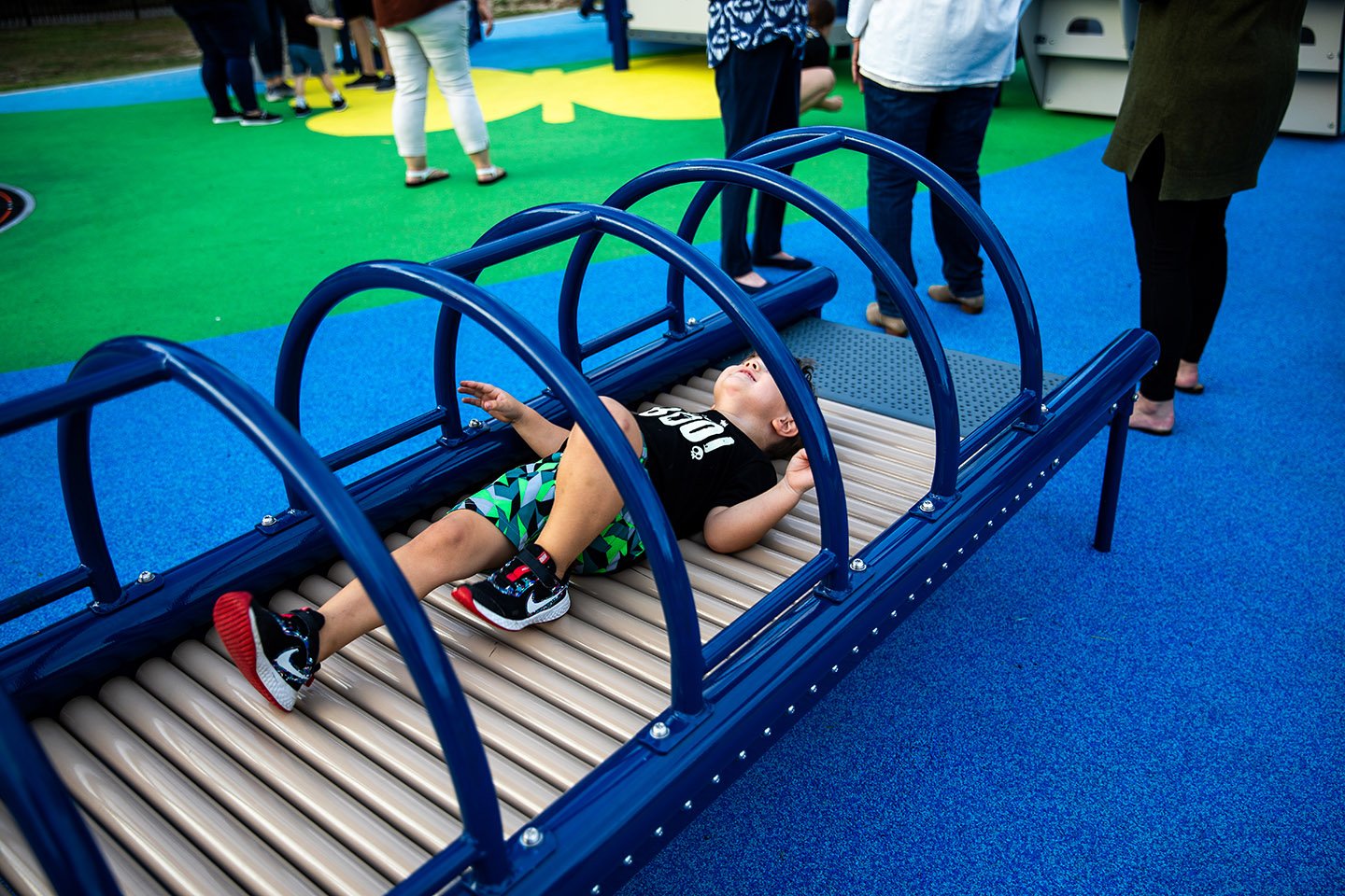 Frog Crawl Through Panel