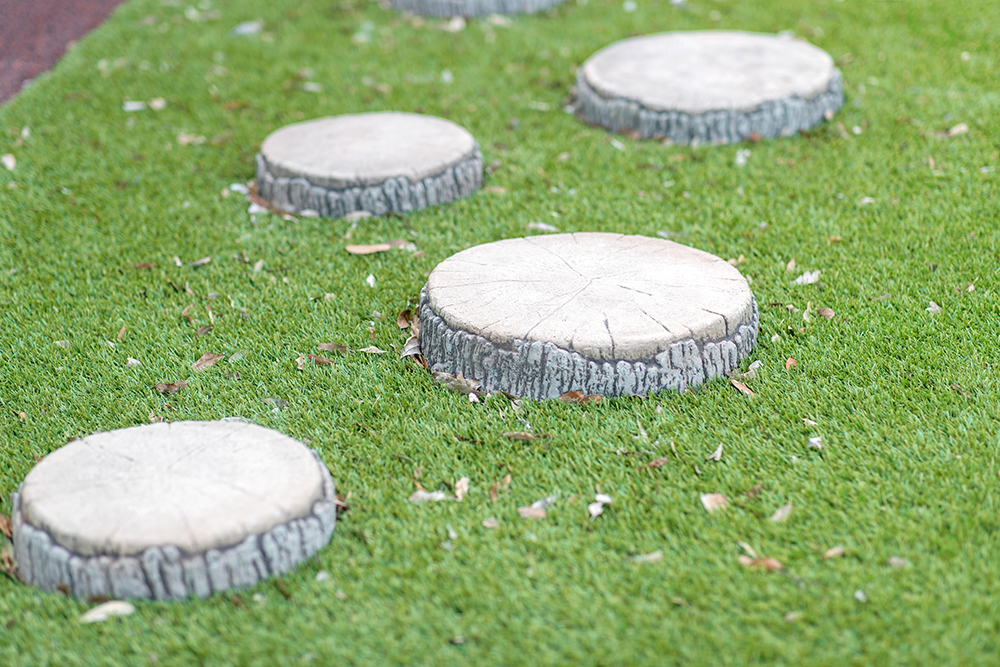 Tree Slices Set