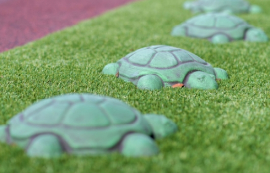 Stepping Turtles Set